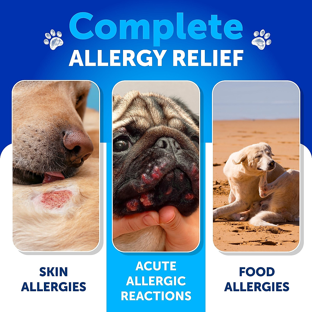 Artullano Dog Allergy Relief Chews - Dog Itching Skin Relief Treatment Pills - Itchy and Paw Licking - Anti-Itch Support - Immune Skin & Coat Supplement - Dry Skin and Hot Spots - 180 Treats