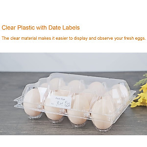 BULKBUY Egg Cartons 60 Packs, Clear Eco-friendly Plastic Blank Egg Cartons with Free Labels, Holds up to 12 Eggs Securely, Perfect for Family Pasture Farm Markets Display - Medium