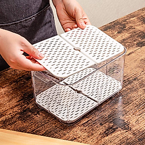 SANNO Vegetable Fruit Containers Fridge Food Storage Produce Saver Container Produce Saver Containers for Refrigerator, Containers Produce Saver