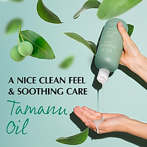 RATED GREEN REAL TAMANU Soothing Shampoo | Scalp Relief & Nourishing for Troubled, Itchy & Dry Scalp | Organic Cold Pressed Tamanu Oil Shampoo (13.52 Fl Oz)