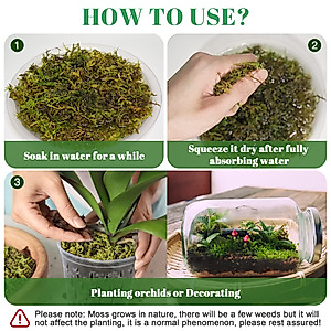 Lanccona Sphagnum Moss - 3 Quarts Dried Forest Moss for Orchid Moss Potting Mix Carnivorous Plants Succulents Reptiles Decorating Terrariums Potted Plant Propagation