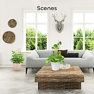 GROWNEER 2 Pcs 14" Small Plant Trellis for Climbing Plant, Honeycomb Metal Potted Trellis with 20 Pcs Cable Ties, 15 Pcs Plant Labels, Plant Support for Flower Stem Vines, Golden