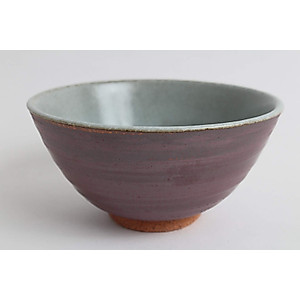 Mino ware Japanese Pottery Rice Bowl Matte Wine Red Akagusuri made in Japan (Japan Import) KSC005