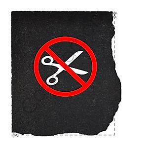 CoreCarbon 6-Pack Exact Fitment Carbon Pre-Filter Designed to Fit Honeywell Model HTT-022, Pet CleanAir HHT-013-HD, HHT-016-MP and HEPAClean Models HHT-011, 16200