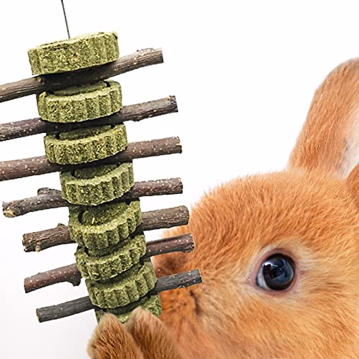 Meric Rabbit Chew Toy, Hanging Treat, Apple chew Sticks with Round Native Grass Cakes, Promotes Healthy Teeth and Gums, Suitable for Rabbits, Chinchillas, Guinea Pigs and Parrots, 1-Piece