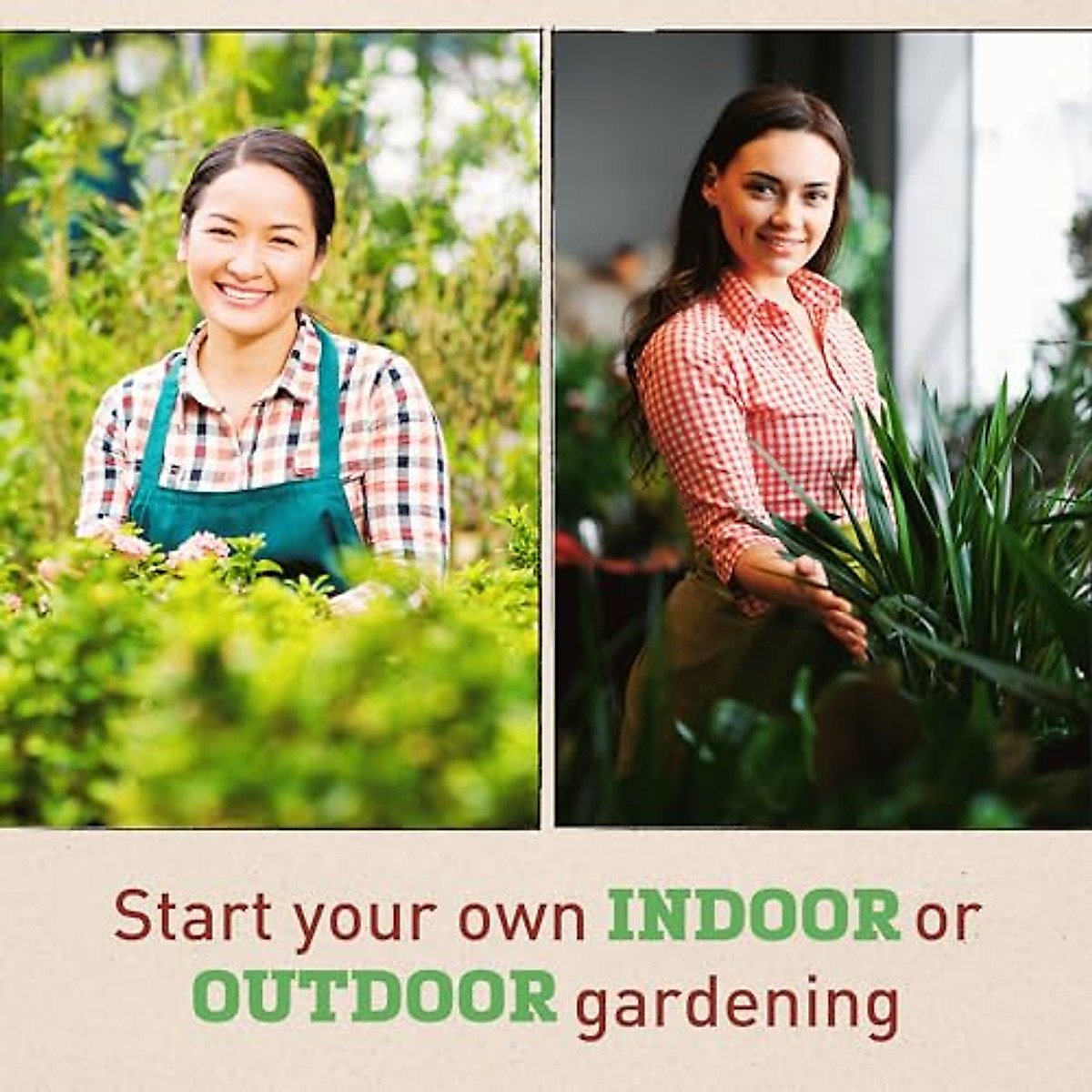 Garden Trends - Pea Seeds - Sugar Sprint Variety - Treated, Non-GMO Vegetable for Outdoor Planting Home Garden - Compact Vines - Edible, Stringless Pods - 100 Seeds