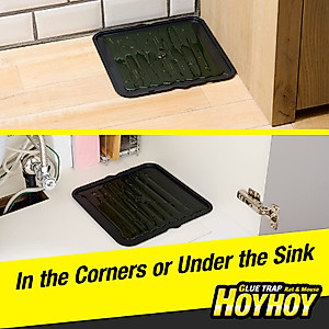 HOY HOY Rat & Mouse Jumbo Size Glue Trap 6 Traps [3-Pack] - Heavy-Duty Professional Strength Ready-to-Use Rodent Pest Control, Great for Home with Kids & Pets Indoor Household Pests