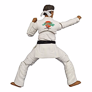 Icon Heroes The Karate Kid Daniel Larusso Action Figure