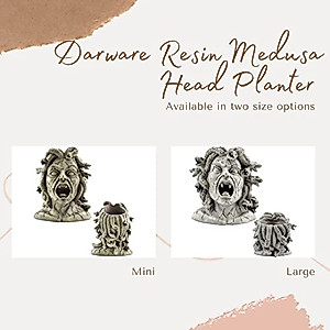 Darware Mini Resin Medusa Head Planter, Garden Decor Statue Flower Pot