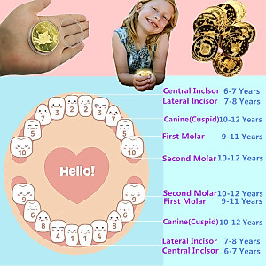 Baby Teeth Keepsake Box, Tooth Fairy Box, Tooth Storage Holder, Lost Deciduous Tooth Collection Organizer with 2Pcs Tooth Fairy Golden Coin, Save Children Teeth to Keep The Childhood Memory (Blue)