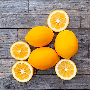 CHUXAY GARDEN 10 Seeds Citrus Limon 'Meyer',Dwarf Lemon,Valley Lemon,Meyers Lemon Hybridize Sweet Fruit Gardening Gifts Non-GMO Green Organic Low-Maintenance