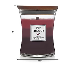 WoodWick Medium Hourglass Candle, Sun Ripened Burrs - Premium Soy Blend Wax, Pluswick Innovation Wood Wick, Made in USA