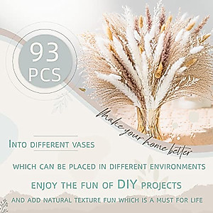 93PCS Natural Pampas Grass Mix Bouquet | Dried Pampas Bouquet for Wedding Boho Flowers Home Table Decor Desk Decor, Rustic Farmhouse