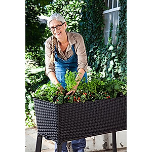 Keter Easy Grow 31.7 Gallon Raised Garden Bed with Self Watering Planter Box and Drainage Plug-Perfect for Growing Fresh Vegetables, Flowers and Herbs