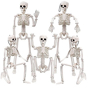 XIMISHOP 5pcs Halloween Skeleton Decoration, 16” Full Body Posable Halloween Hanging Skeleton Decoration with Movable Joints for Halloween Graveyard Haunted House Decoration Indoor Outdoor