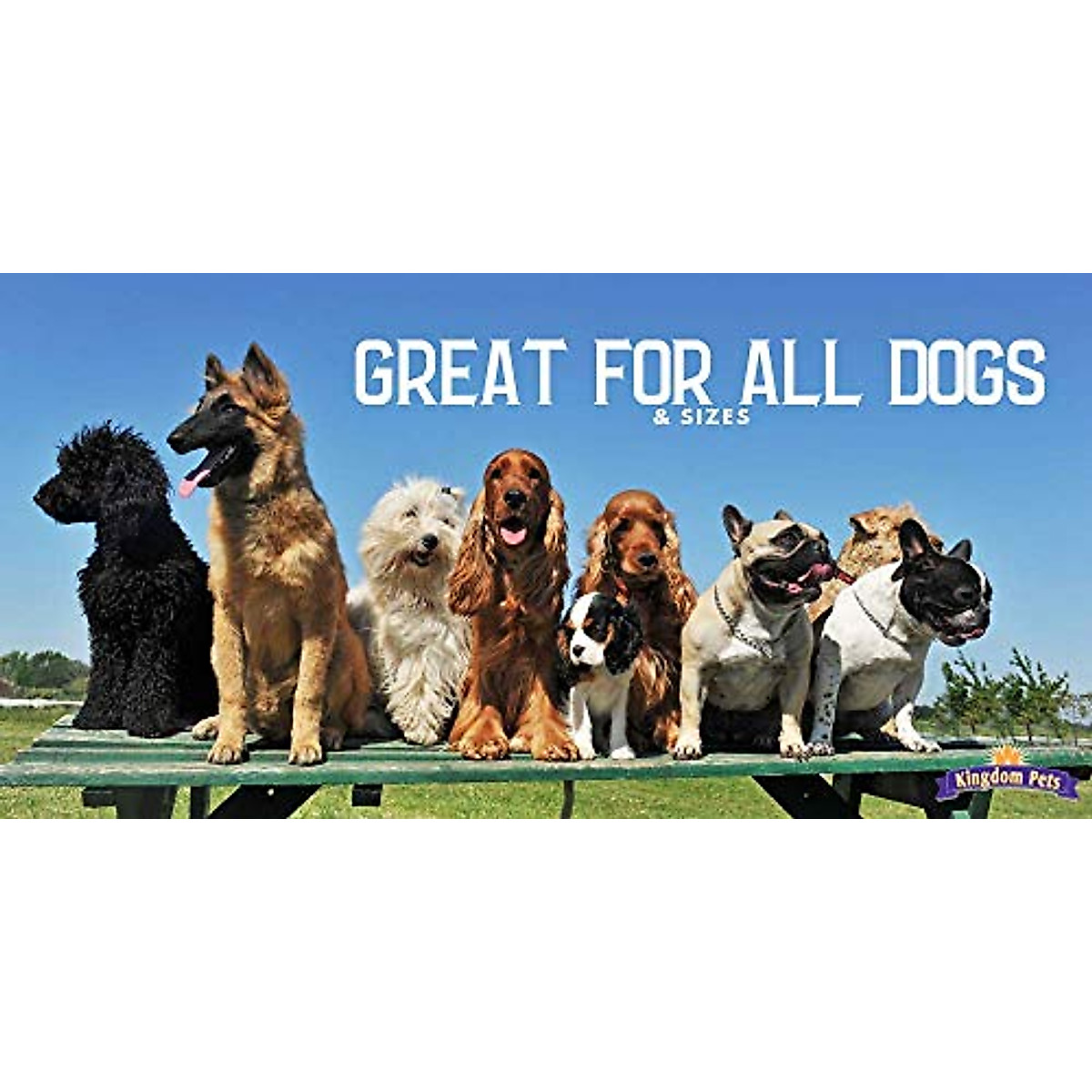 Kingdom Pets Duck Breast Jerky, Premium Treats for Dogs, 40 oz. Bag