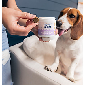 Dog Calming Treats with Natural Ingredients, cGMP-Certified & Made in The USA - Calm Chews for Dogs That Ease Anxiety and Stress, Human-Grade Calm Dog Treats, 30 Chews - Good Trouble Pets