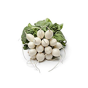 Hailstone Radish Seeds, 250+ Heirloom Seeds, (Isla's Garden Seeds), Non GMO Seeds, Botanical Name: Beta vulgaris