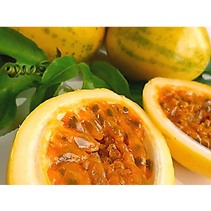 25 Yellow Passion Fruit Tree Seeds for Gardening Indoor, Ornaments Perennial Garden Simple to Grow Pot