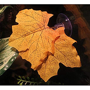 Mllepjdh Betta Fish Hammock Plastics Betta Leaf Pad Aquarium Plant Leaves Accessories for Playing Fish Tanks Hideout Decoration Pet Rainbow Ball Foam Pets Dog Training Training Ball Dog Treat