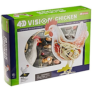 4D Master Vision Chicken Skeleton & Anatomy Model Kit, One Color