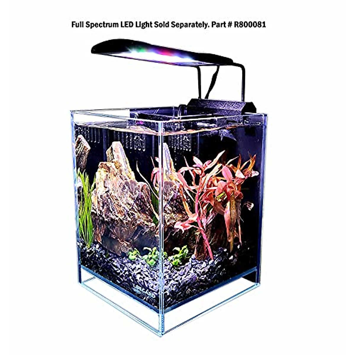 LIFEGARD Low Iron Ultra Clear Crystal Aquarium with Built in Filter – Rimless Glass, Beveled Edge, Elevated Style – Direct Jet Flow – 8.3 GPH