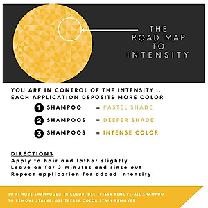 Watercolors INTENSE METALLIC Color Depositing Sulfate-Free Shampoo, Maintains & Enhances Hair color Water Colors Hair Dye Wash (Intense Metallic Gold - 8.5 oz)