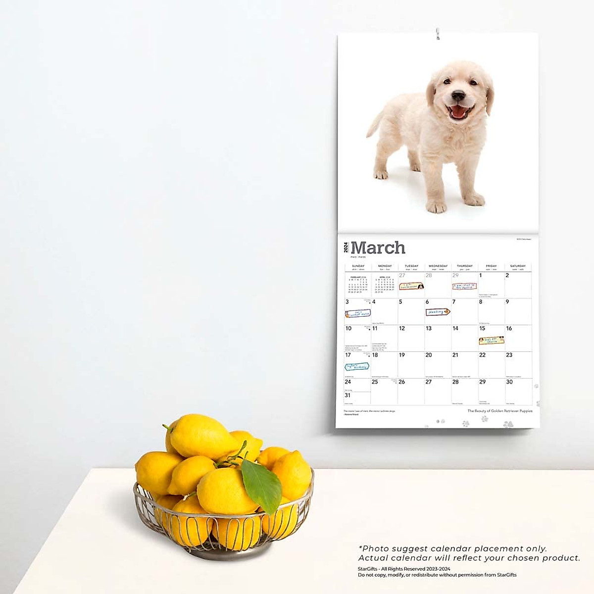 The Beauty of Golden Retriever Puppies | 2024 12 x 24 Inch Monthly Square Wall Calendar | Sticker Sheet | StarGifts | Animals Dog Breeds Puppy