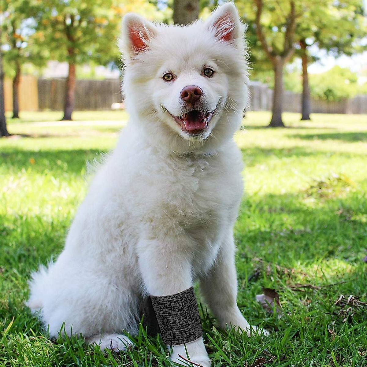 Juvale 12-Rolls Self Adhesive Bandage Wrap, Vet Tape - 2 in x 5 Yds Breathable, Elastic Cohesive Wrap Tape for Wrist, Swelling, Sports, Tattoo (Black)