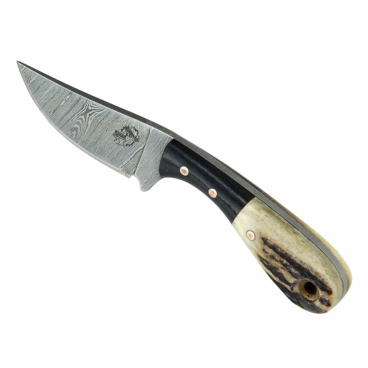 Knives Ranch Neck Knife, Small EDC Fixed Blade, Stag Handle and Fine Quality Sheath (3133-SG)