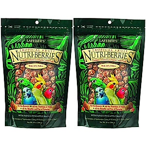 Lafeber's Gourmet Tropical Fruit Nutri-Berries Parakeet, Cockatiel & Conure Food 10 oz (2 Pack)