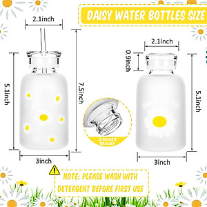 2 Pcs 480 ml 16.9 oz Glass Water Bottles with Scale Portable Water Milk Juice Cup with 4 Lids and 2 Straws Clear Daisy Flower Matte Cute Bottles Creative Cup for Christmas Gifts Women Girls Kids