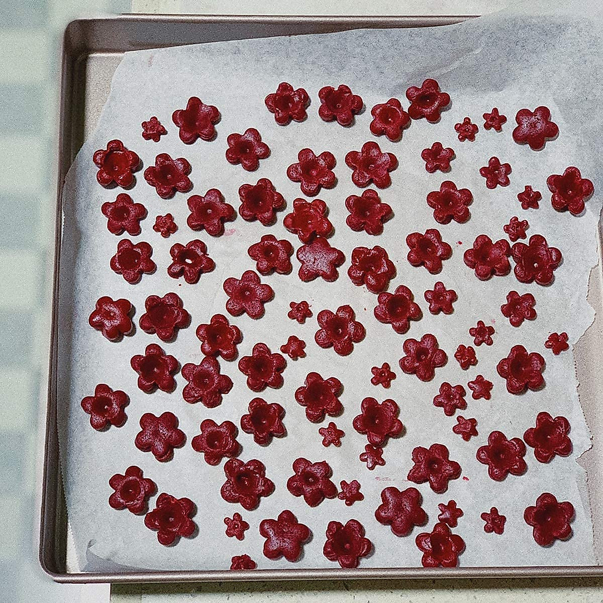 wexpw 24 Pcs Cookie Cutters, Fondant Cake Cookie Plunger Cutter, Mini Plastic Biscuit Plunger Fondant Decorating Mold, Heart/Square/Oval/Circular/Star/Diamond/Flower