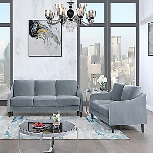 FANYE Elegant Gray 2 Accent Deep Cushions Seaters Wood Legs Loveseat Double Couch, Modern Velvet Upholstery Sofa Love Seat W/Curved Padded Armrest for Home Office Apartment Small Space Living Room