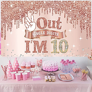 Large 10 Years Old Birthday Banner Decorations for Girls, Pink Rose Gold 10th Birthday Backdrop Party Supplies, Out Single Digits I'm 10 Bday Poster Background Sign Decor