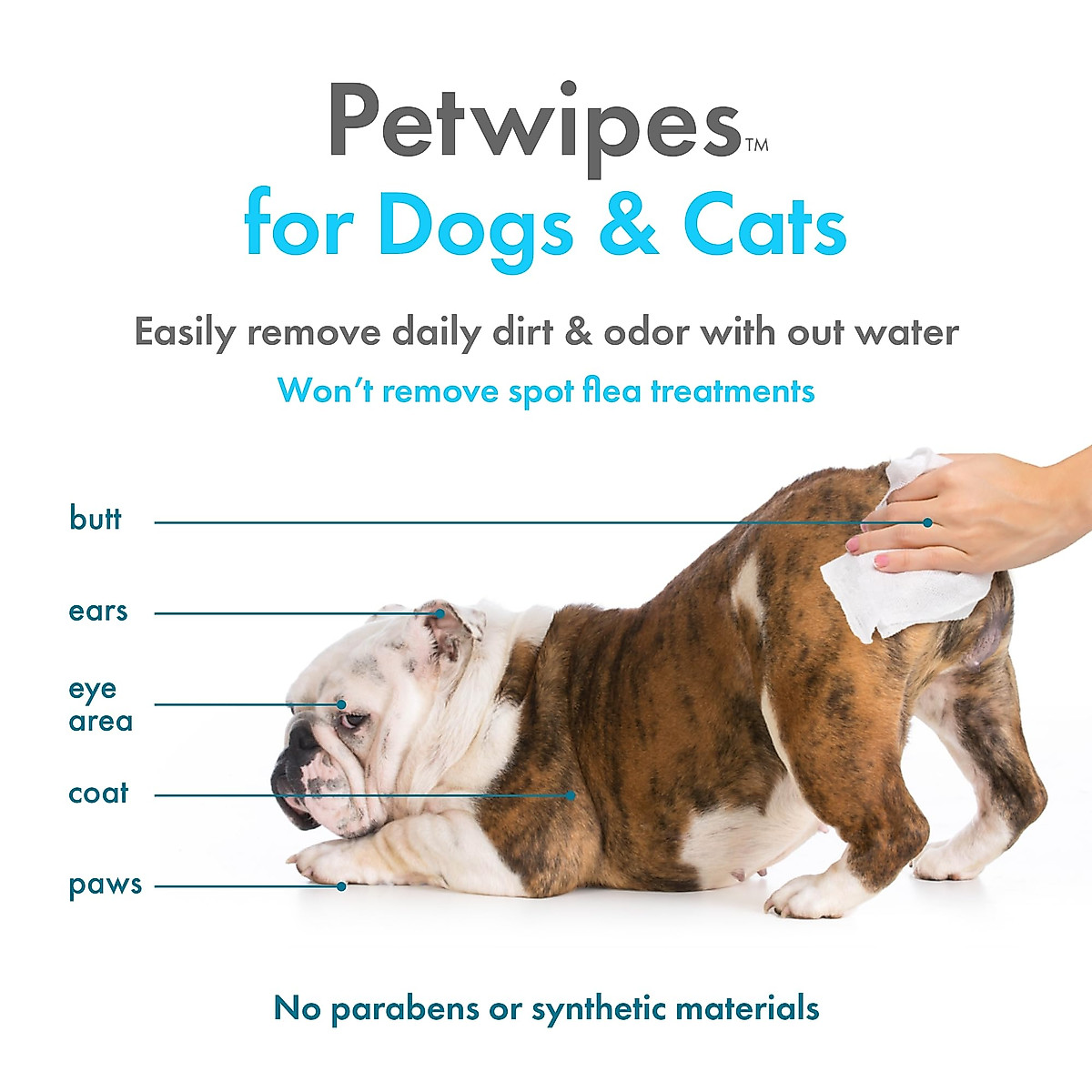 Petkin Plant-Based PetWipes, 200 Wipes, 6 Count - Biobased, Sustainable, Big & Thick Pet Wipes for Dogs & Cats - for Face, Paws, Ears, Body & Eye Area - Consciously Cleans & Conditions - Vanilla