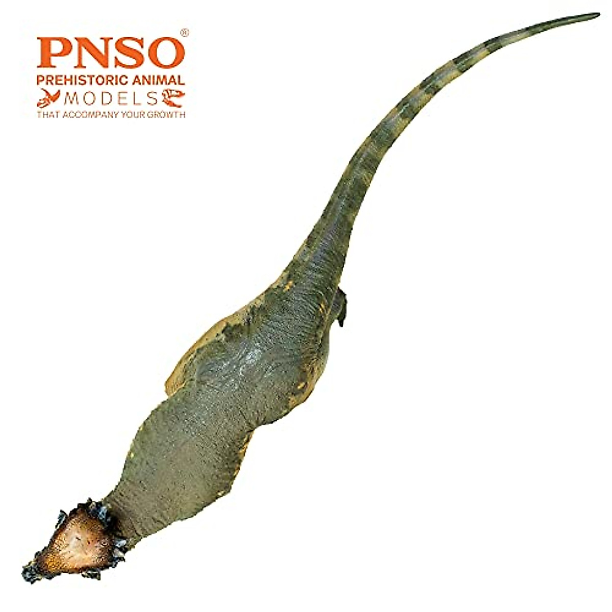 PNSO Prehistoric Dinosaur Models (46 Austin The Pachycephalosaurus)