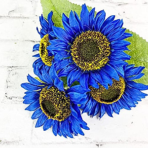 QAUZUY GARDEN 40 Rare Blue Sunflower Seeds (Helianthus Annuus), Attract Pollinators, Rare Striking Showy Exotic Flower for Home Garden Office Yard Decor