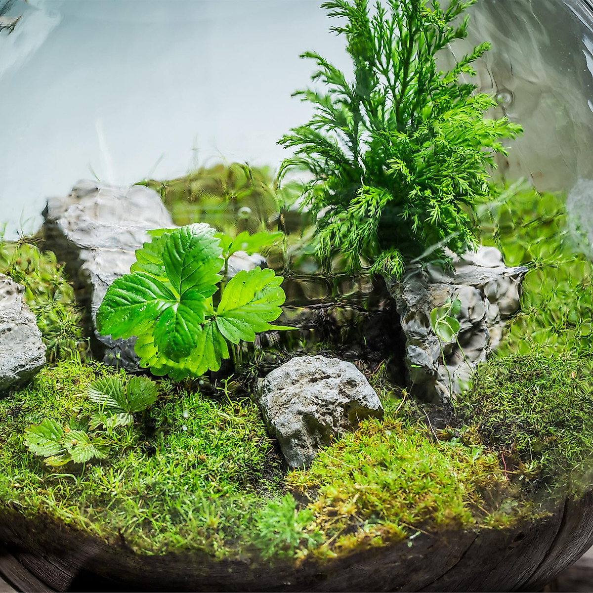 MECCANIXITY Static Grass, Nylon Artificial Grass Powder 3mm 2 x 30g Artificial Grass Fake Grass Tuft Model for Train Landscape Railway Sand Ground,White, Pack of 2