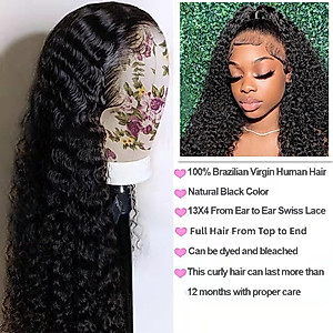 Curly Lace Front Wig Human Hair 13x4 Deep Wave Lace Front Wigs Human Hair for Women Wet and Wavy 250% Density HD Lace Frontal Wigs Human Hair Pre Plucked with Baby Hair Natural Hairline(20inch)
