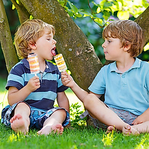 Angoily 30pcs Round Push-Up Cake Shooter Plastic Clear Cake Holder Push Pops Cake Container with Lid DIY Cake Holder Cup for Home Store for Ice Cream, Cake, Dessert