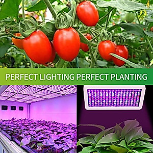 LUYIMIN Upgraded 1000W LED Grow Lights with Dual Switch, Double Chips Full Spectrum Plant Light, Grow Lights for Indoor Hydroponic Plants Veg Flower Growing Lamps