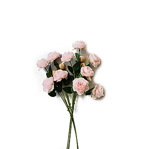 Artfen 5 Pcs Artificial Silk European Rose Flower Peony Flower Long Stem Fake Plastic Flowers Home Garden Party Wedding Decoration DIY Wreath Approx 26'' High Champagne Pink