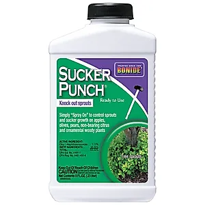 Bonide Sucker Punch, 8 oz Ready-to-Use Sprout Control Liquid with Brush Applicator, Plant Growth Regulator