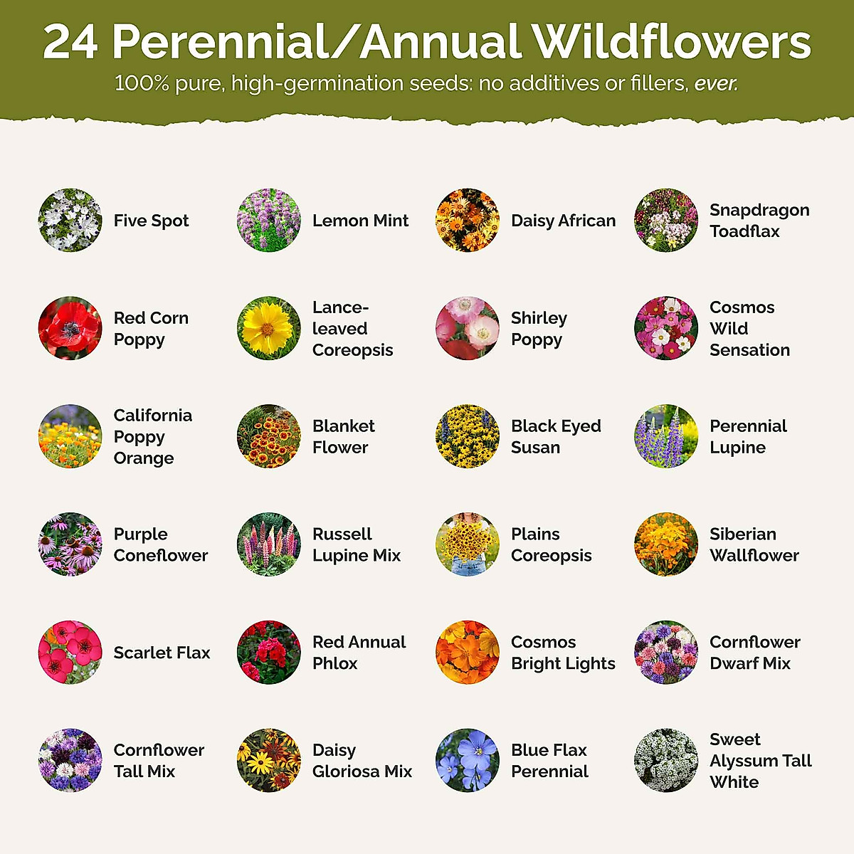 Eden Brothers Georgia Wildflower Mixed Seeds for Planting, 1/4 lb, 120,000+ Seeds with Cornflower, Cosmos, African Daisy | Attracts Pollinators, Plant in Spring or Fall, Zones 3, 4, 5, 6, 7, 8, 9, 10