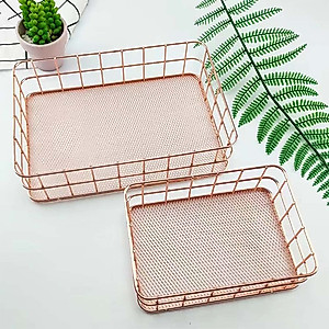 AESGXTU Rose Gold Metal Storage Basket Desktop Iron Grid Simple Snack Storage Tray for Home Decor＆Orderly Storage (Large)