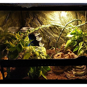 Flexible Bend-A-Branch Reptile Vines，Terrarium Decor,Long Jungle Climber Vines Habitat Decor for Chameleon Climbing Lizards Snakes and More Small Animals