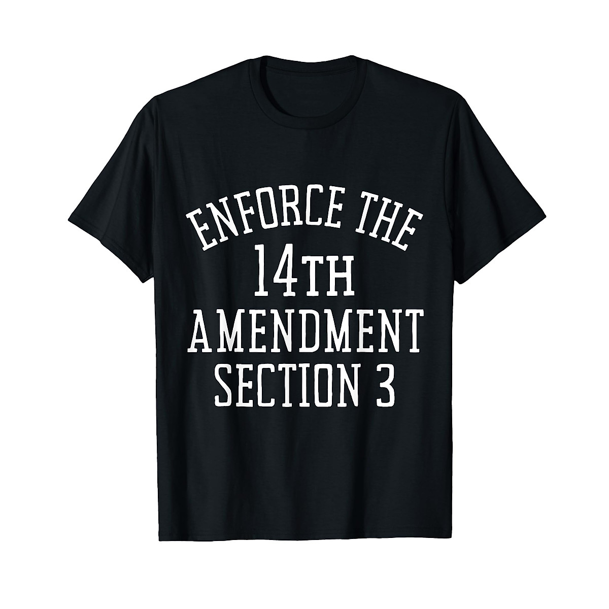Classic Enforce The 14th Amendment Section 3 T-Shirt