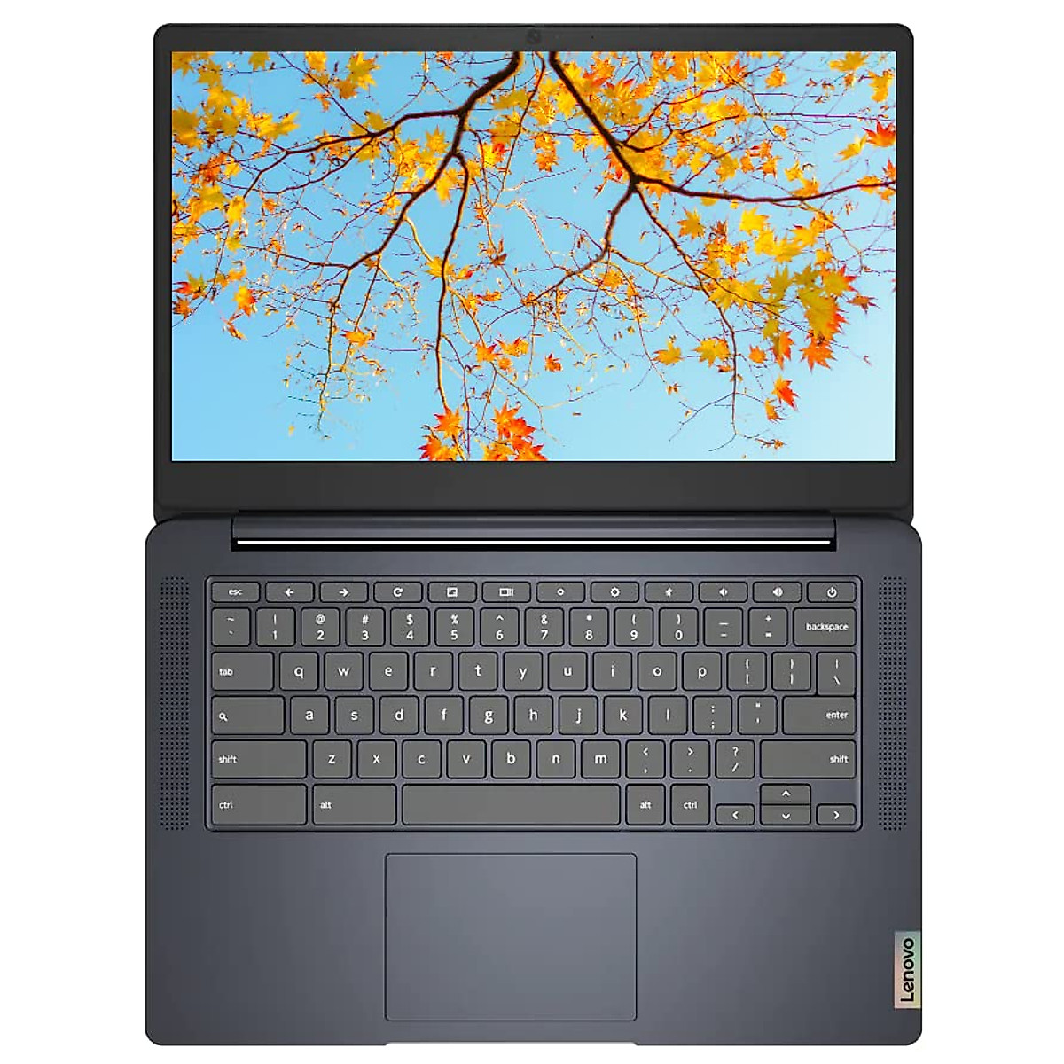 Lenovo Flagship Ideapad 3 14inch HD Chromebook, Mediatek MT8183 (8 Cores, Up to 2GHz), 4GB DDR4 RAM, 64GB eMMC + 128GB SD Card, Webcam, WiFi 5, USB-A&C, All Day Battery Life, Chrome OS