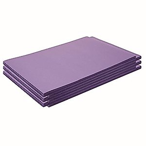 Colorations Construction Paper,Violet,12 inches x 18 inches,300 Sheets,Heavyweight Construction Paper,Crafts,Art,Kids Art,Painting,Coloring,Drawing,Creating,Paper,Art Project,All Purpose